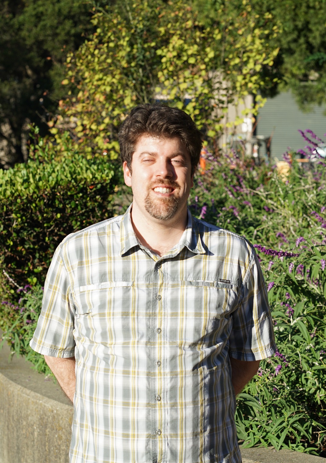 Matt Brister